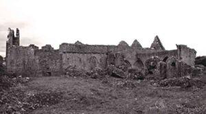 Askeaton Friary: the story of its foundation, operations and demise ...