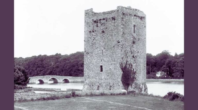 The townland: pathways to Ireland’s past