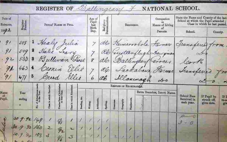 Find your ancestors in Ireland's historical school records