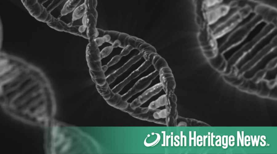 Choosing the right DNA test for Irish family history research